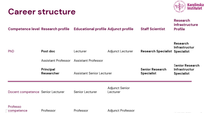 Career structure for academic staff | Staff Portal