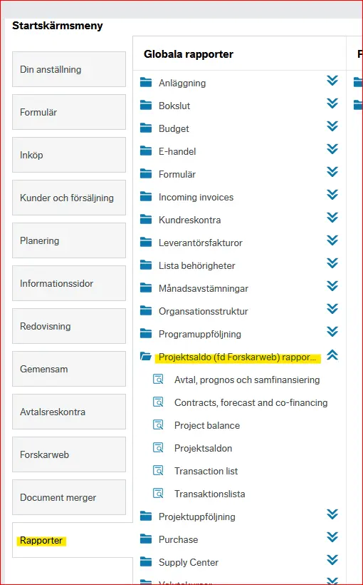 Guide for project balance reports | Staff Portal